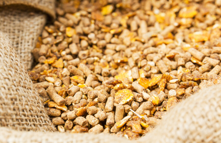 SGS Launches Animal Feeds Security Program | SGS Philippines