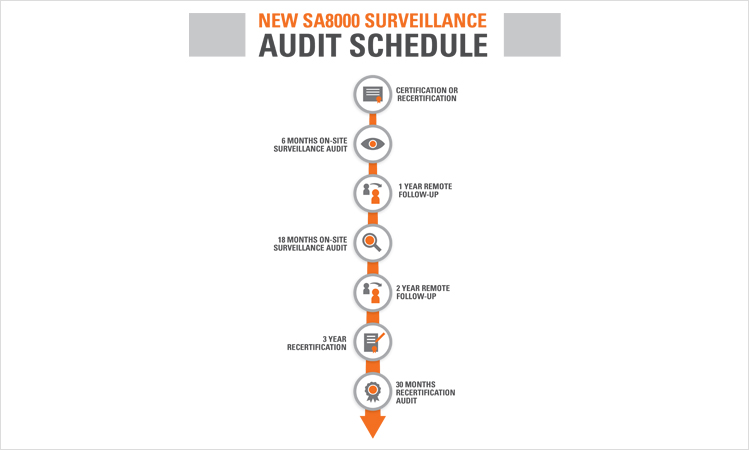 Changes to Audit Requirements for SA8000 | SGS Tanzania